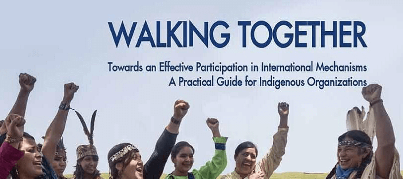 Walking together: towards an Effective Participation in International ...