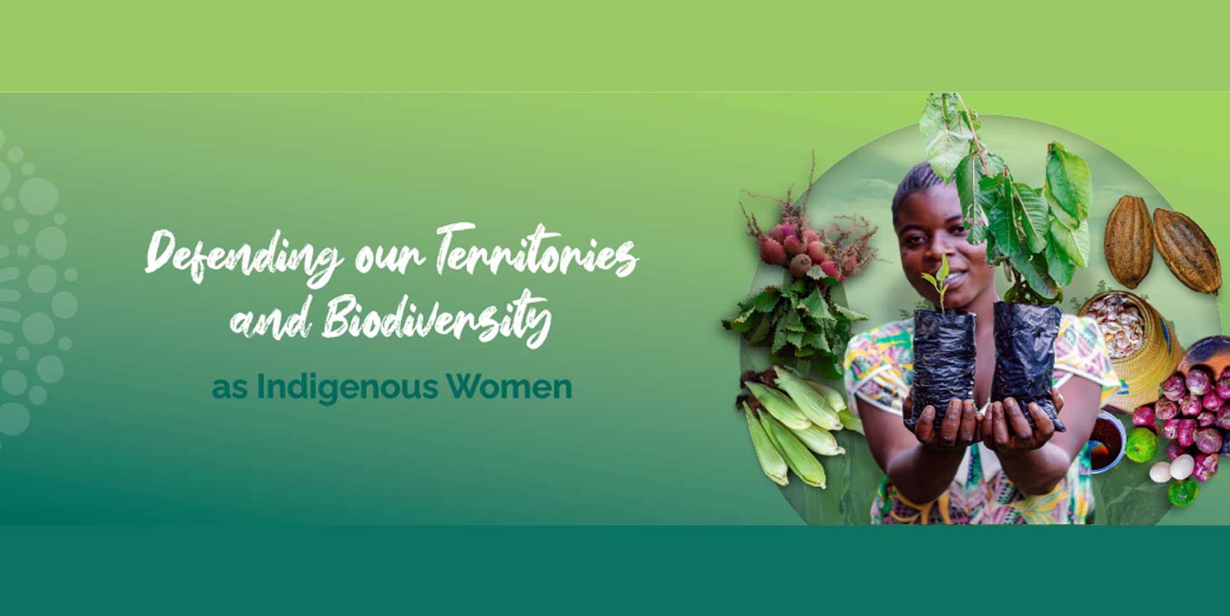 DEFENDING OUR TERRITORIES AND BIODIVERSITY AS INDIGENOUS WOMEN - Fimi